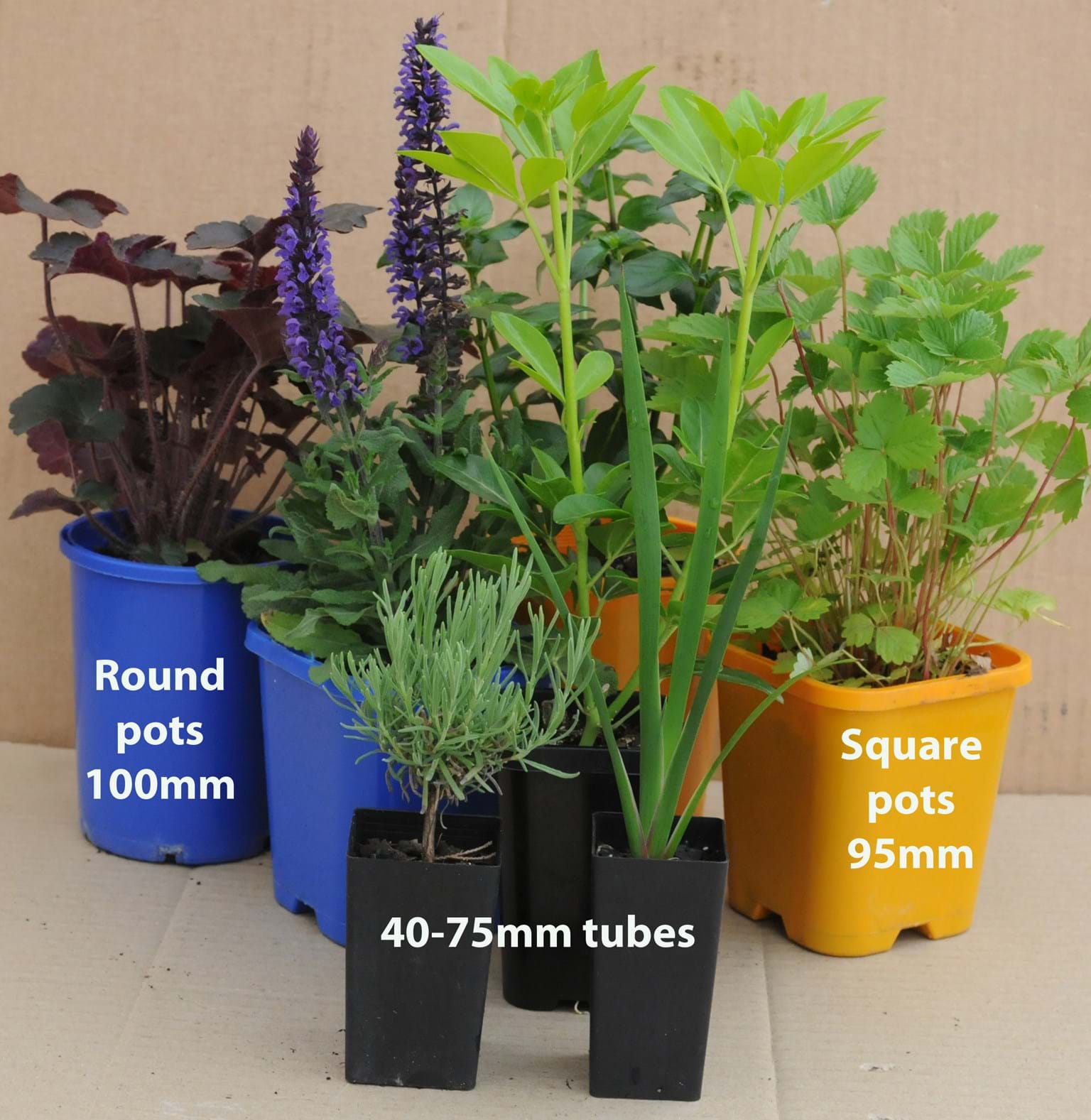 Product Sizing Guide